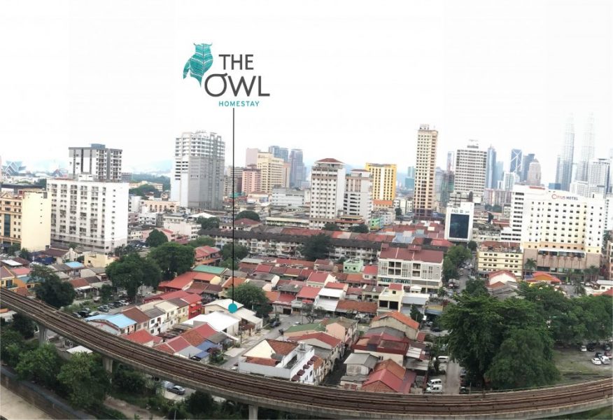 Tiong Nam – The Owl