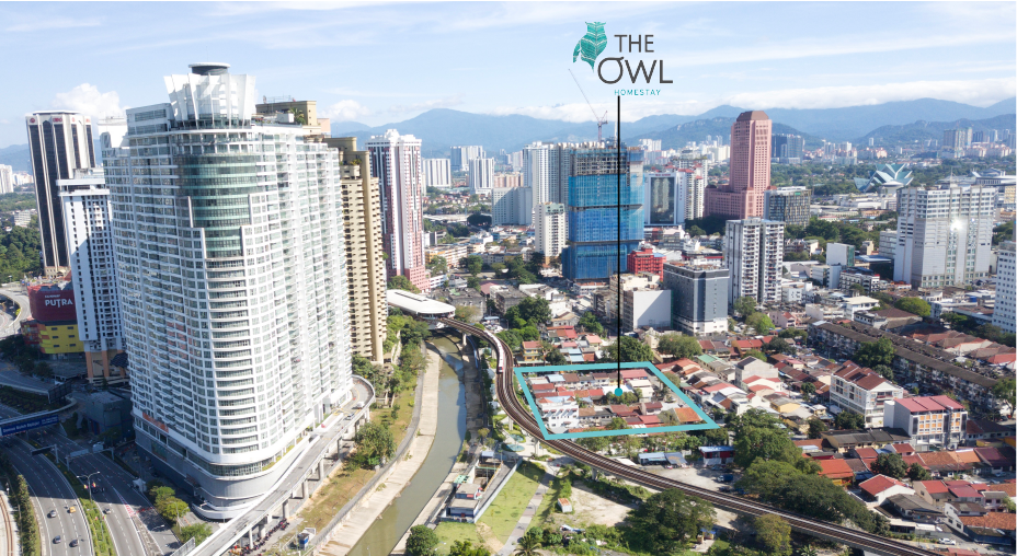 Tiong Nam – The Owl